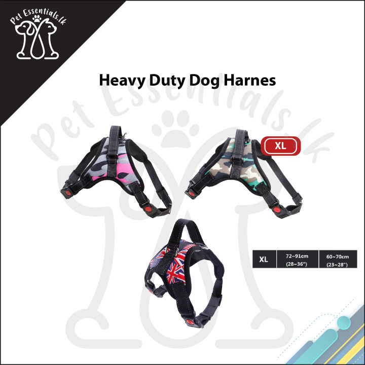 Heavy Duty Dog Harness Extra Large | Daraz.lk