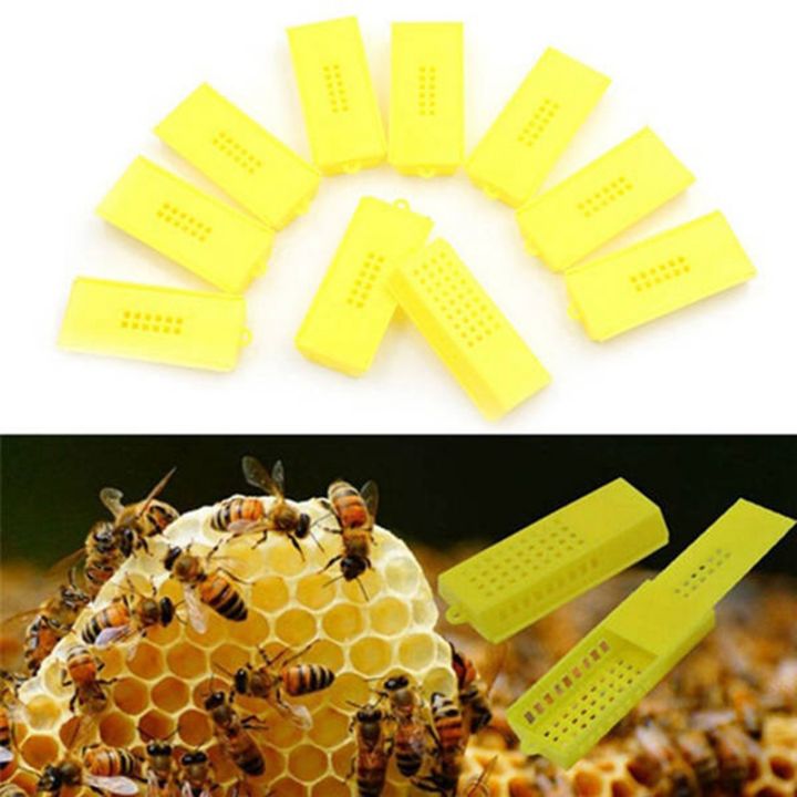 Bee tools beekeeping transport cage queen bee cage hive isolation cage ...