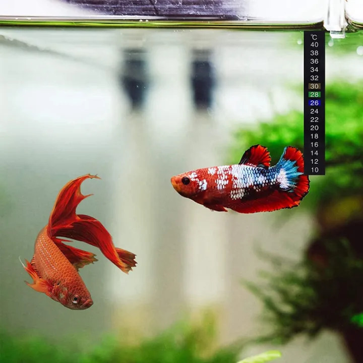 TWEXQNY 24Pcs Portable Fish Tank Aquarium Stick-on Thermograph ...