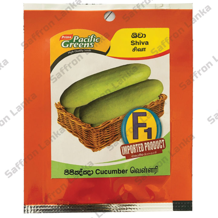 Cucumber F1 Hybrid Seeds Shiva pipichcha Beeja Home Gardening Grow High ...