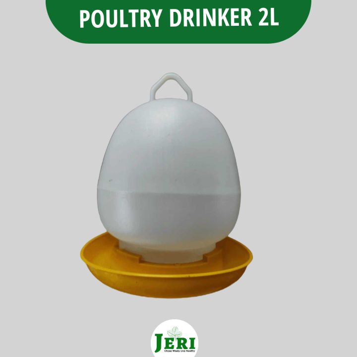 Poultry Drinker-2ltr Chick Drinker Plastic Chicken Drinker Quail Pigeon ...