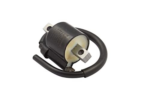 Deutsche Ignition coil for Bajaj Pulsar 135 (LH) / Bajaj Pulsar 135 LS ...
