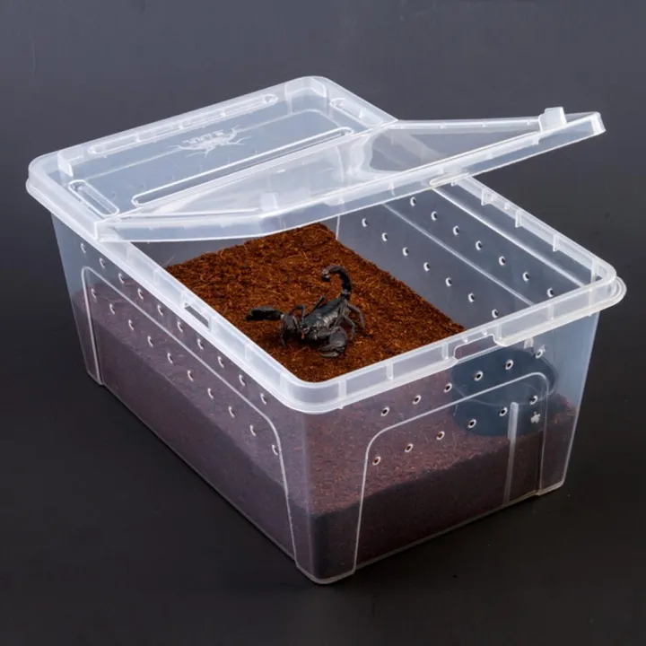 Reptile Feeding Box Tortoise Habitat Side Ventilation Hole Habitat ...