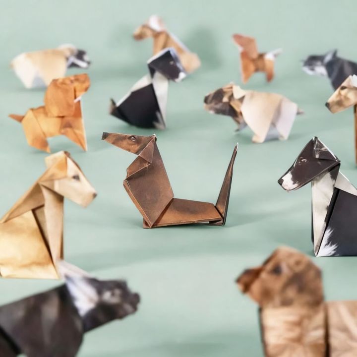 Amazing 50pcs DIY Paper Cats Creative Animals Clothing Origami Paper ...