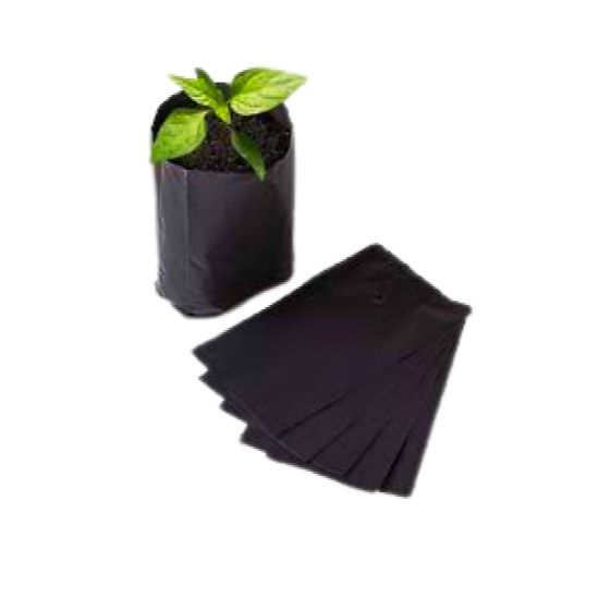 Grow Bags (තවාන් උර) 7"x6" size home Garden decoration 30pcs | Daraz.lk