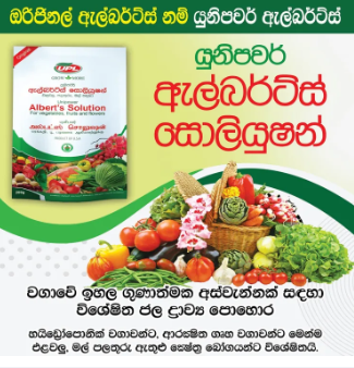 Albert Solution Hydroponic Greenhouse Nurseries Fertilizer Flower ...