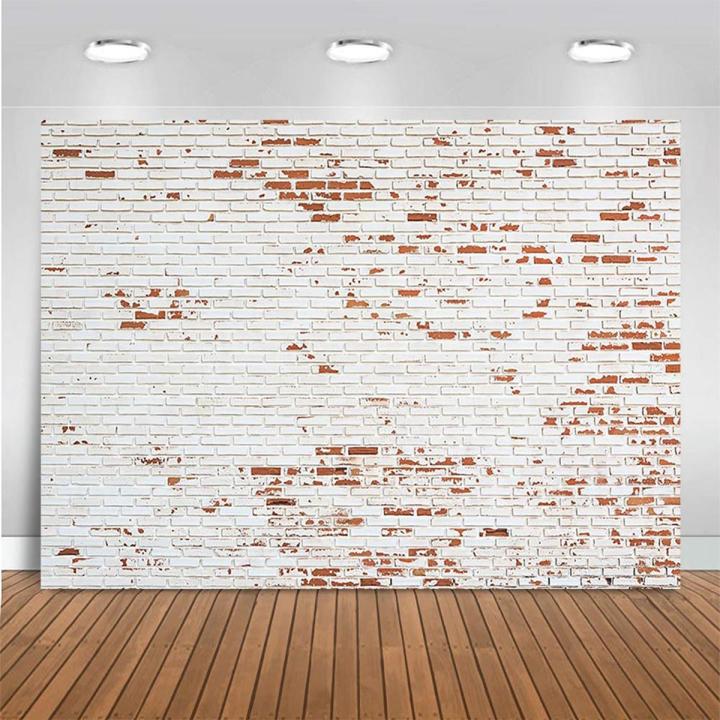 Brick Wall Theme Portrait Photography Backgrounds Food Baby Portrait ...