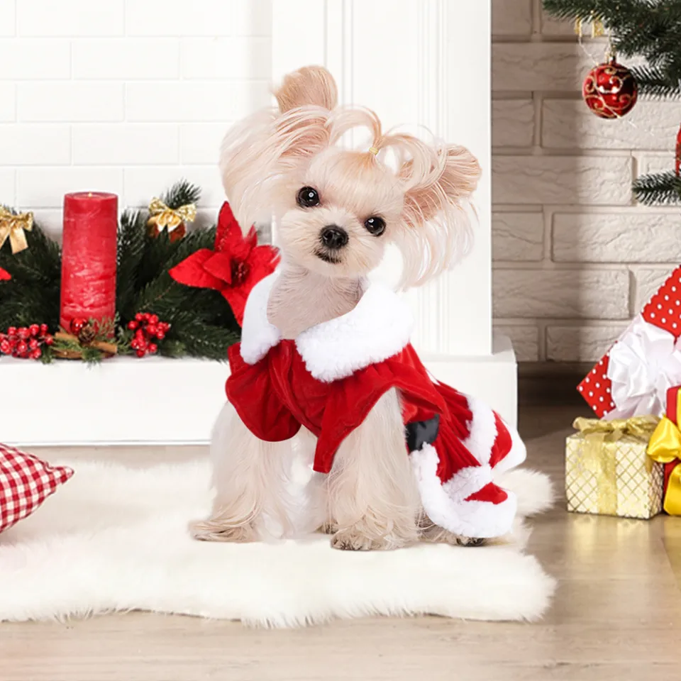2024 New Christmas Dog Dresses For Small Dogs Clothes Summer Christmas Cosplay Cat Pet Dog Dress Fancy Princess Puppy Dress Daraz.lk
