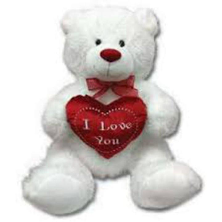 GAS 1 ft Teddy Bear - White | Daraz.lk