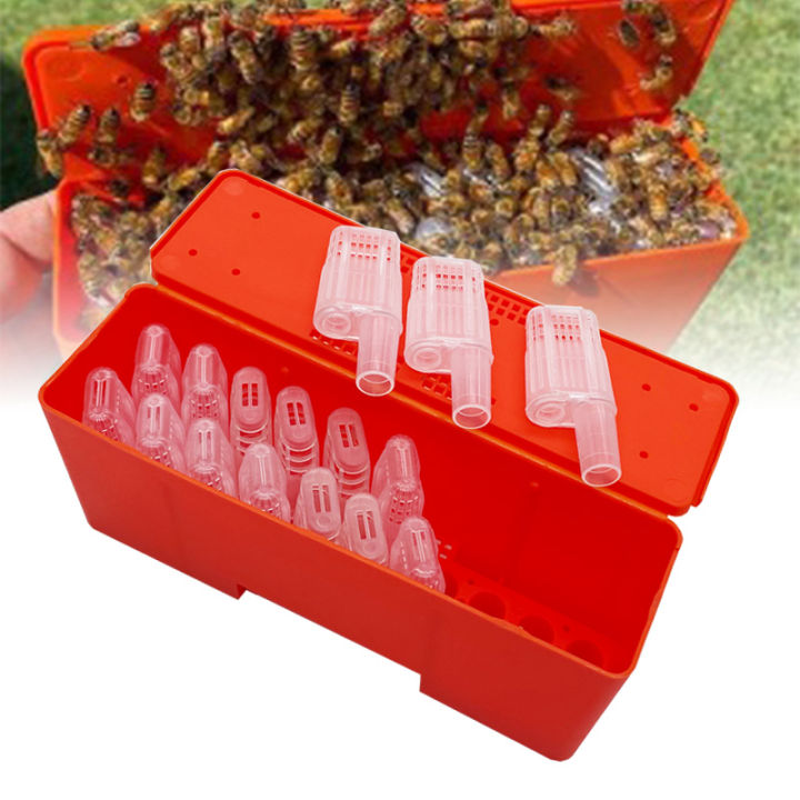 Beekeeping Tools Queen Bee Transport Box With Queen Cages Rearing ...