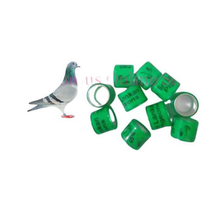 Large Pigeon Rings With Random Numbers & Printed as “Sri Lankan Pigeons ...