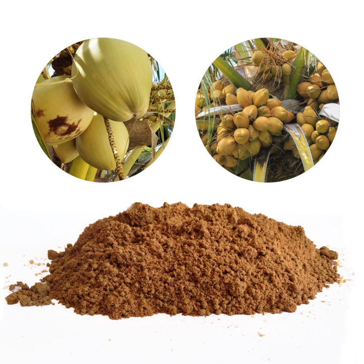 Coconut Fertilizer APM 200g/500g/1kg/5kg | Daraz.lk