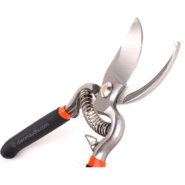 Garden shear 8" inch pruning shear WISEUP brand 110103 | Daraz.lk