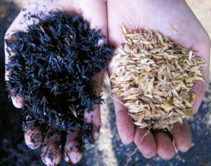 Carbonized Rice Husk, Burned Rice Husk As Fertilizer For Gardening 5kg ...