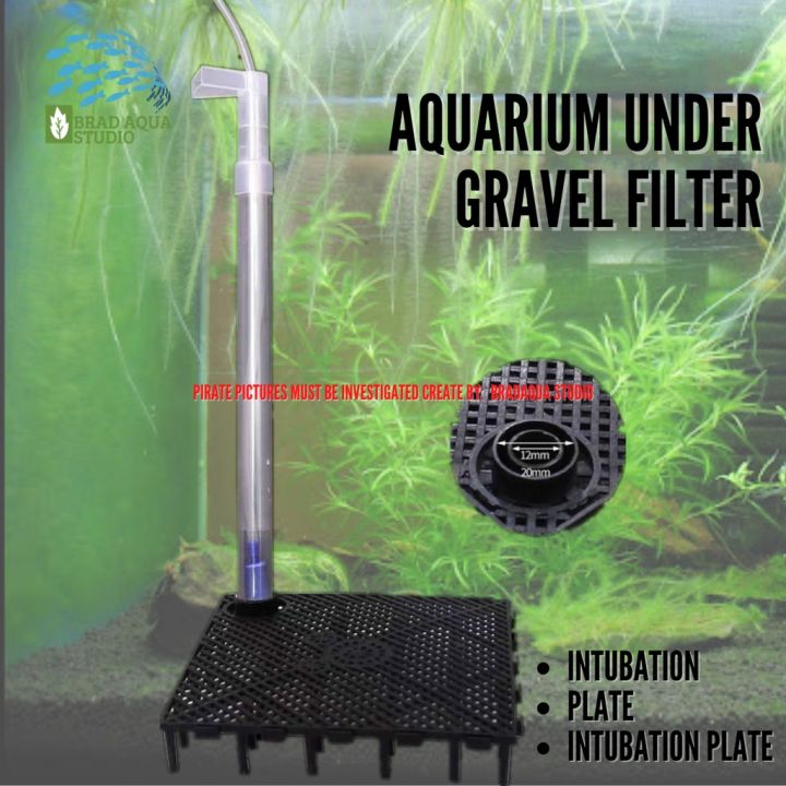 AQUARIUM Under Gravel Filter Intubation/ Plate/ Intubation Plate | Daraz.lk