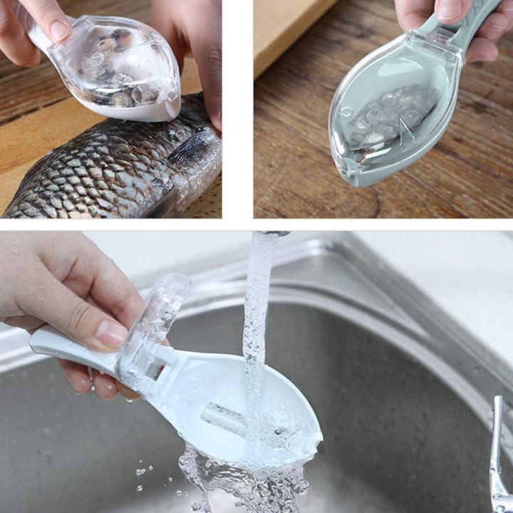 Practical Fish Scale Remover | Daraz.lk