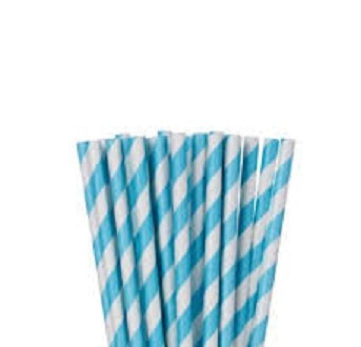 Bio-Degradable Party Paper Straw 25 | Daraz.lk