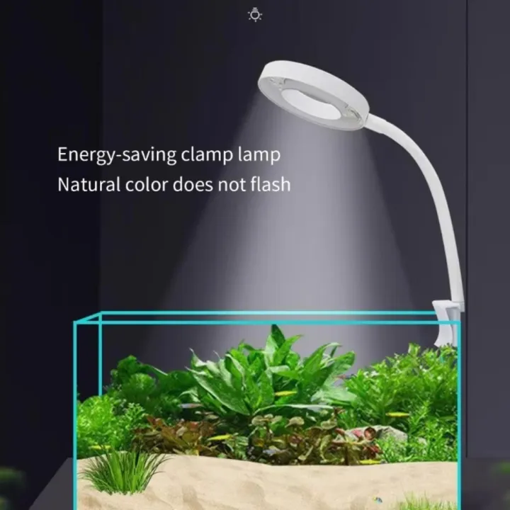 Easy To Install White Light LED Fish Light Rotatable Clip on Water ...