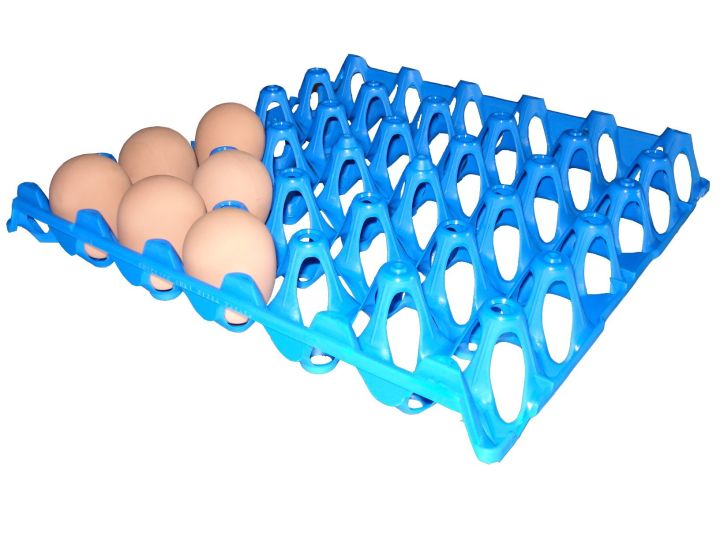 Egg tray Egg case Egg box 30 pcs Egg package | Daraz.lk