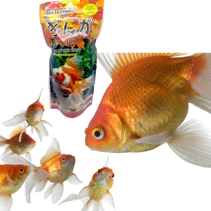 GALAXY Bioactive Aquarium Fish Food for Goldfish Carp Fish Dry Natural ...