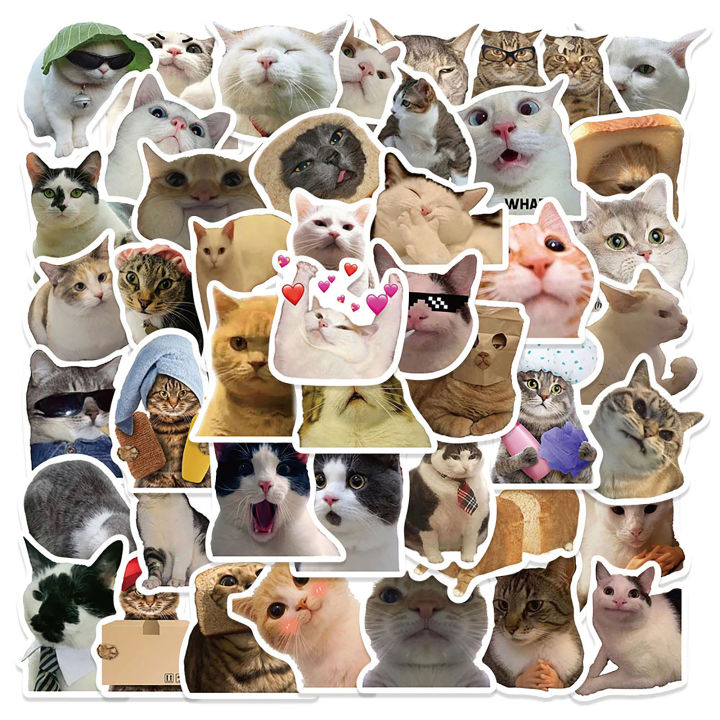 20/40pcs Cat Meme Stickers Cute Kitty Social Media Meme Stickers for ...