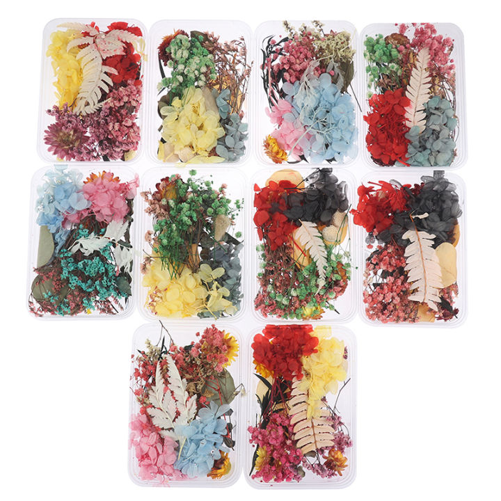 Random 1 Box Mix Beautiful Real Dried Flowers Natural Floral for Art ...
