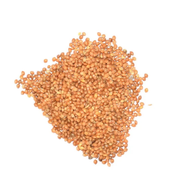 Love Bird'S Bajiri For Young Bird 10kg | Daraz.lk