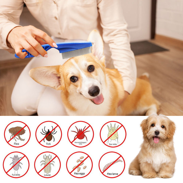 Anti Nit Pet Comb Stainless Steel with Micro Grooved Teeth Hair Care ...