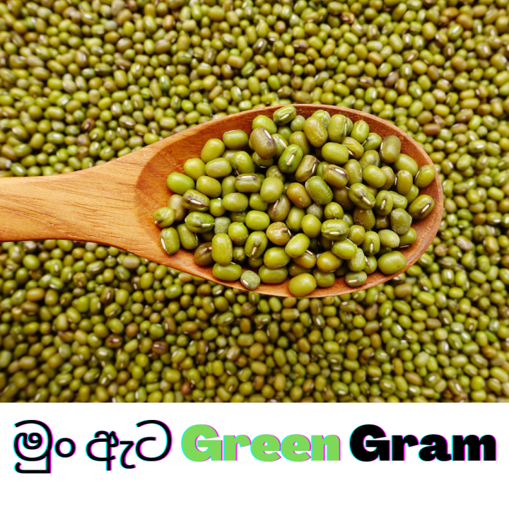 Green Gram Mun Beans Green beans මුං ඇට 500g | Daraz.lk