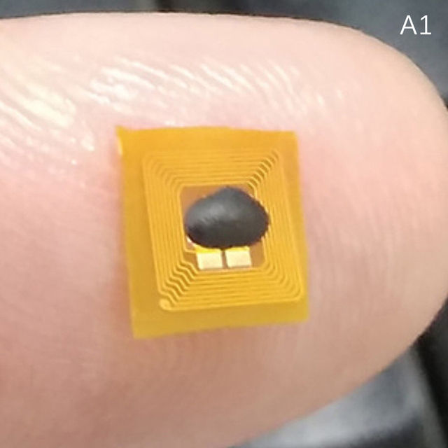 【PureGlobe】1pcs Nfc Rewrittable Ntag213 Bluetooth Micro Chip Tag ...