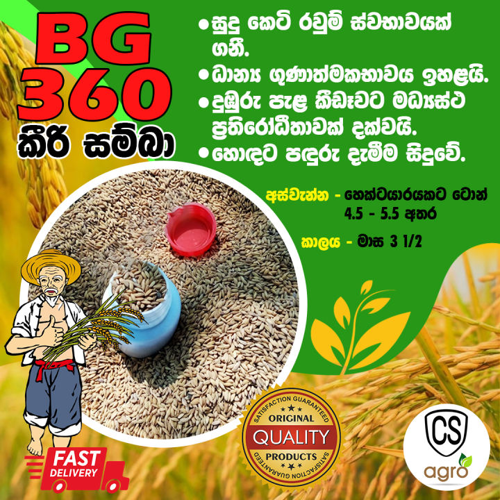 Agriculture Bg 360 Paddy Rice Seeds Bithara Wee 5kg බිත්තර වී කීරී ...