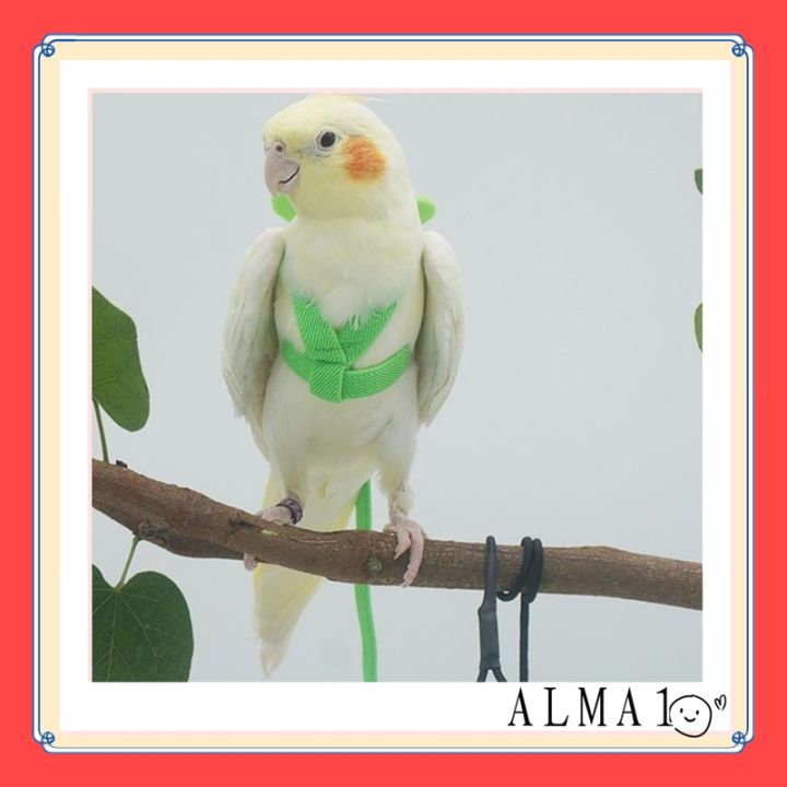 VibeVendor ALMA Bird Traction Belt Cockatiel Flight Training Rope Bite ...