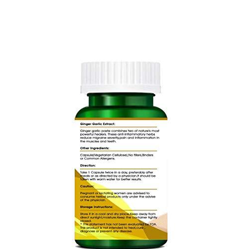 Heera Ayurvedic Research Foundation Ginger Garlic Extract 60 PCS. Veg ...