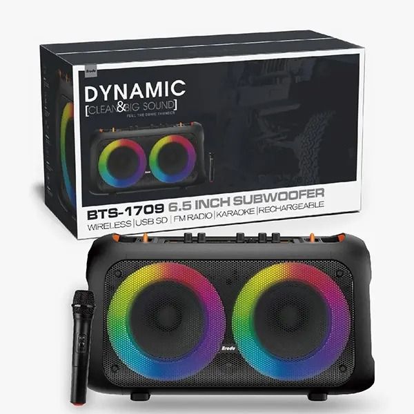 Brodu BTS-1709 Bluetooth Karaoke Speaker Rechargeable Party Speaker ...