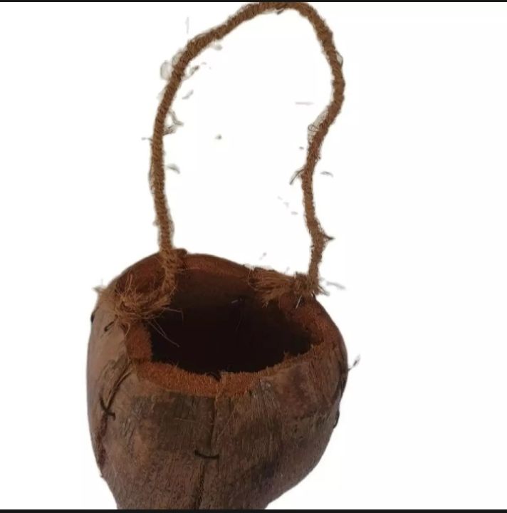 Coconut Shell Husk Hanging Flower Pot For Natural Orchid Plants | Daraz.lk