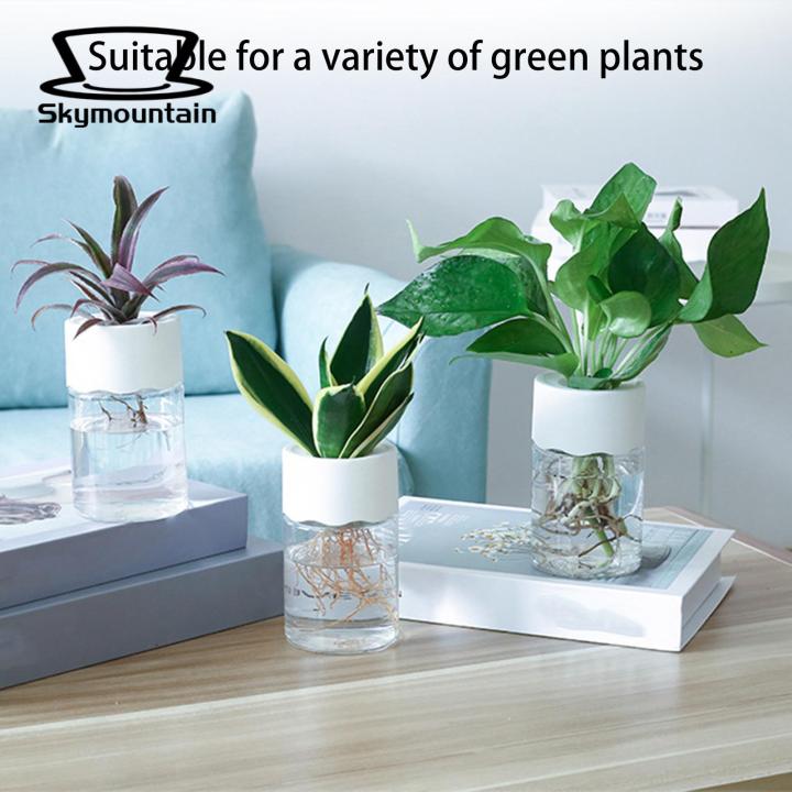 Skymountain Hydroponic Flowerpot Round Mouth Desktop Plants Bonsai ...
