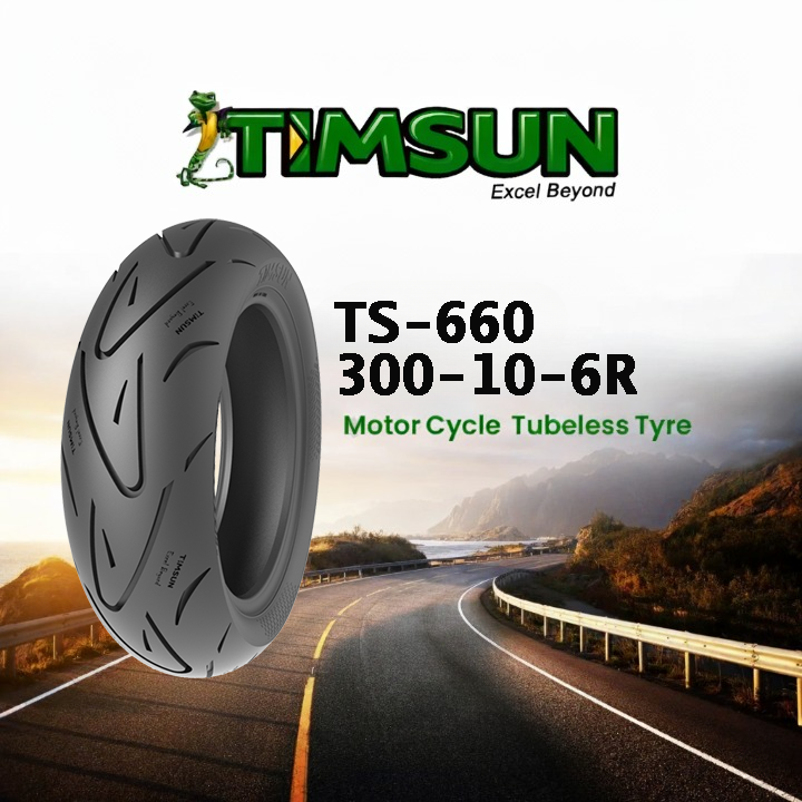Timsun 300-10-6PR-FR-TL-TS-600 | Daraz.lk