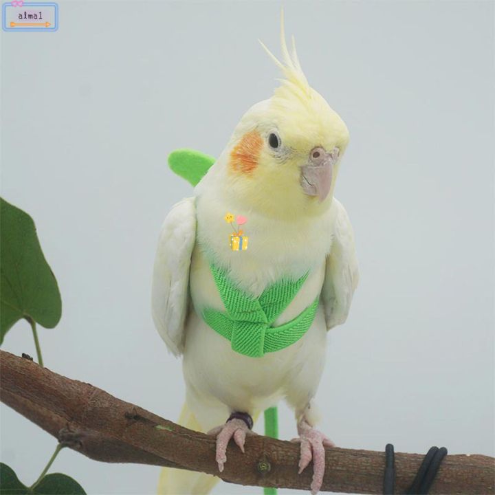ALMA Bird Traction Belt Cockatiel Flight Training Rope Bite Bird Nylon ...