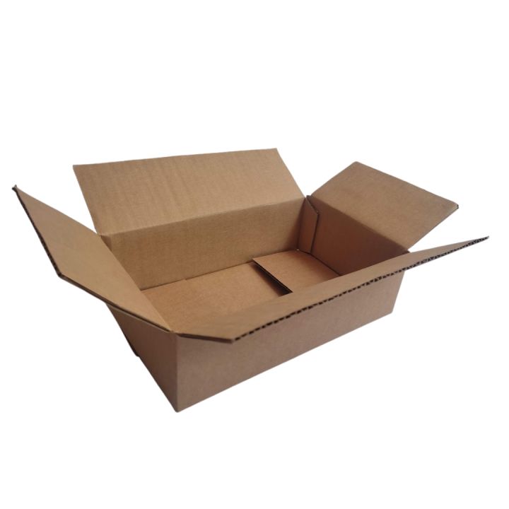 Corrugated Box - 20 Boxes - Size 24cm x 15cm x 7.5cm (9.5 x 6 x 3 ...