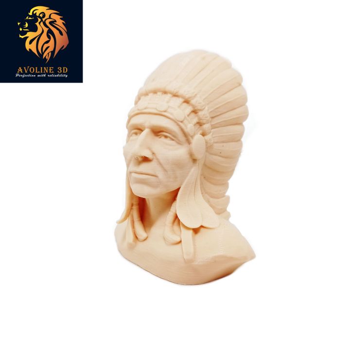 3D Printed Red Indian Bust Statue - Skin Color / Light Brown - PLA ...