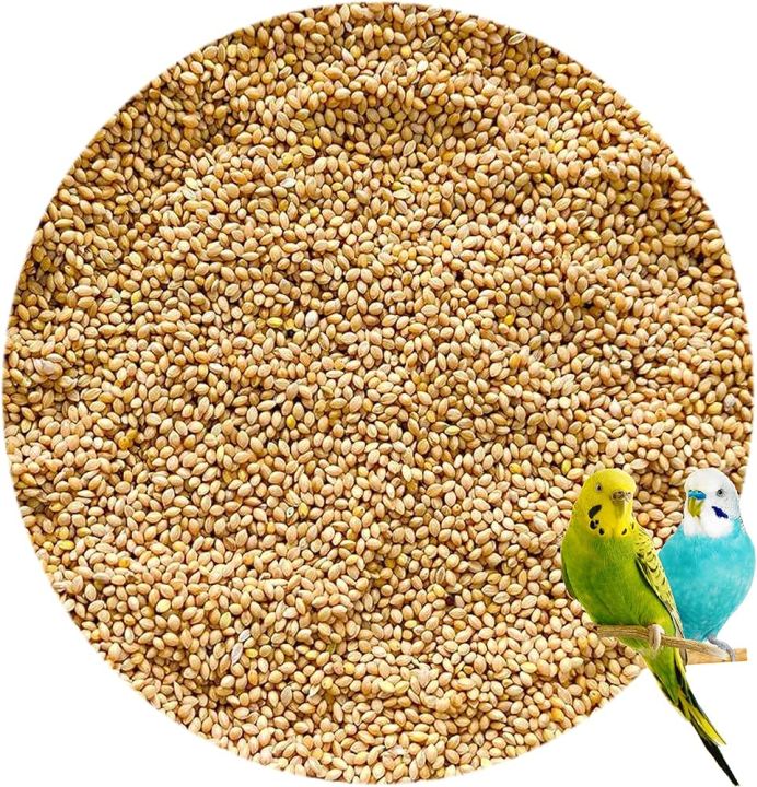 Bajiri 250g Bird Food | Daraz.lk