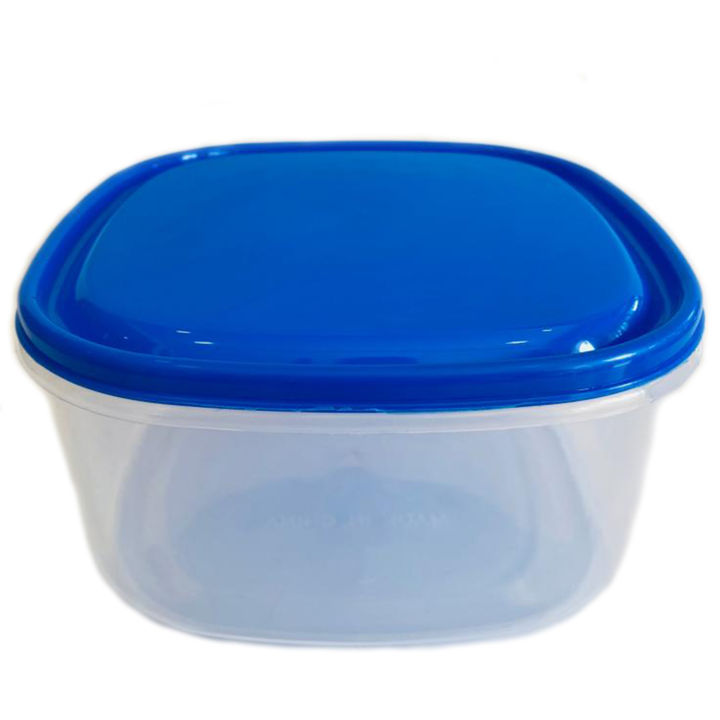 1 Piece Visual Plastic Food Container (LARGE Blue) Air Tight No Leak ...