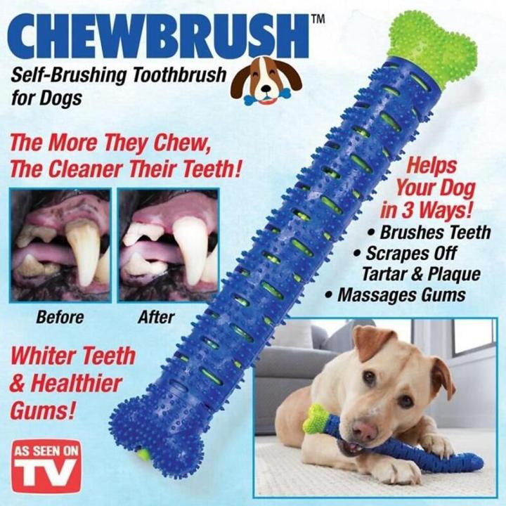 BulbHead Chew brush™ Dog Teeth Cleaning cbgd DENTAL Tooth brush Toys ...