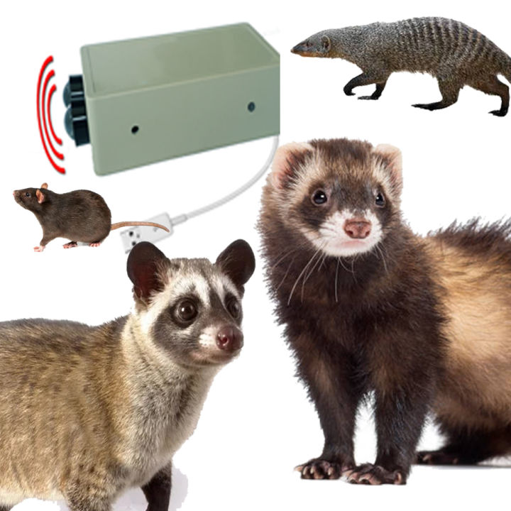 Mongoose Repellent Device | Daraz.lk