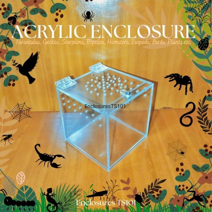 Acrylic Enclosure Cage Box for Exotic Tarantula Scorpion Reptiles ...