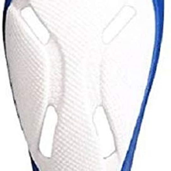 DSC Armor Cricket Abdominal Guard SAB | Daraz.lk