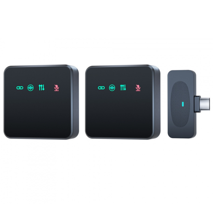Portable Wireless Lavalier Microphone One to Two Type-C for Audio Video ...