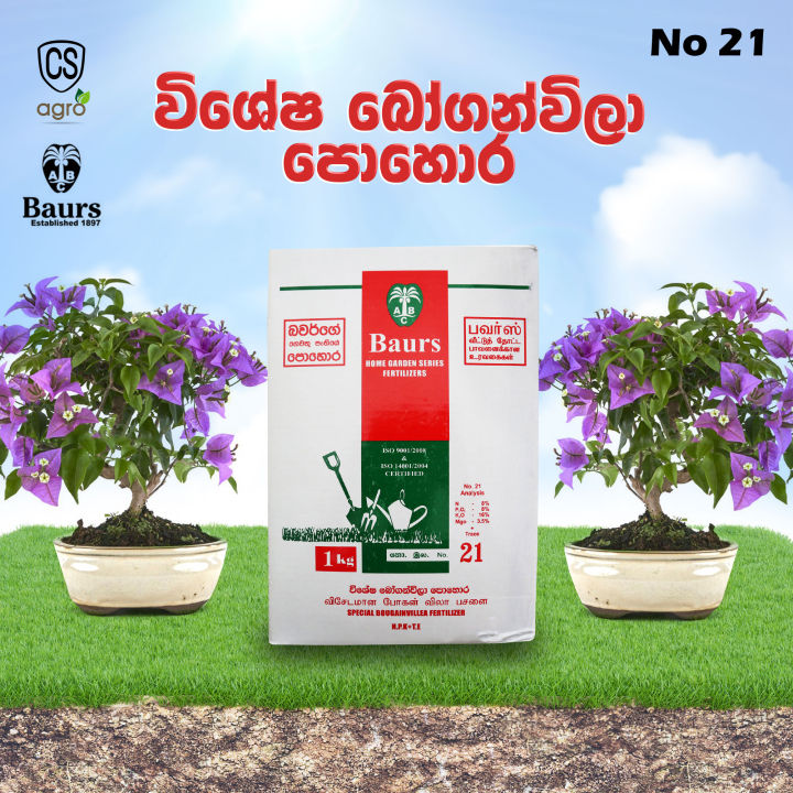 Baurs Bougainvillea Fertilizer බෝගන්විලා පොහොර Home Gardening ...