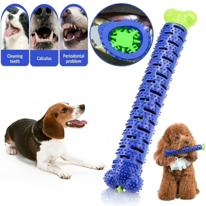 Chewbrush ™ Clean your dog's teeth Dog cbgd Teeth Cleaning Self ...