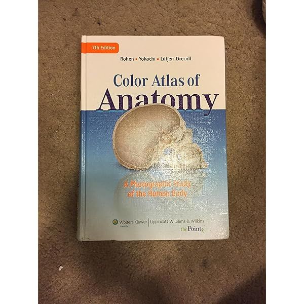 Color Atlas of Anatomy: A Photographic Study of the Human Body | Daraz.lk